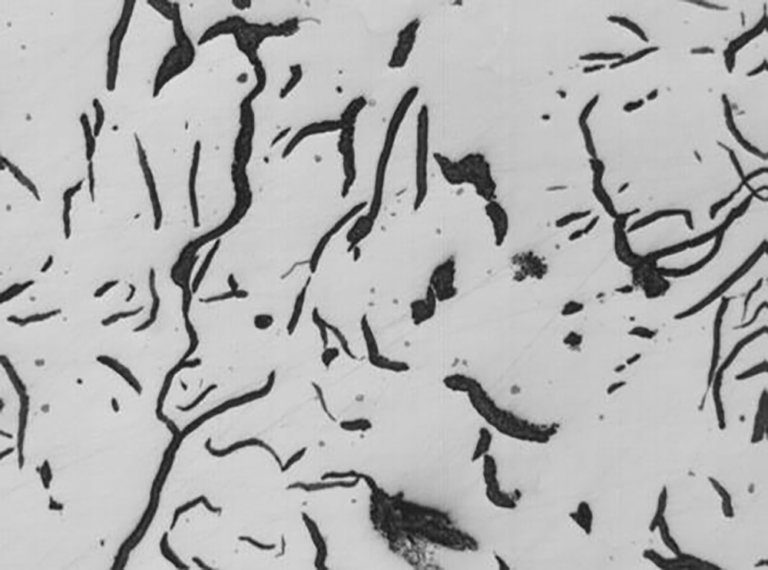 Flake size as per ASTM A247 and ISO 945 - Clemex