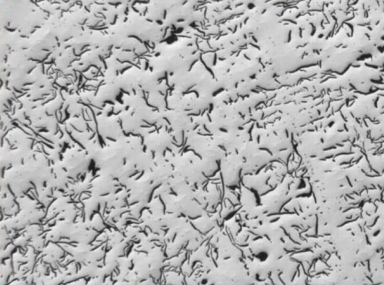 Flake size as per ASTM A247 and ISO 945 - Clemex