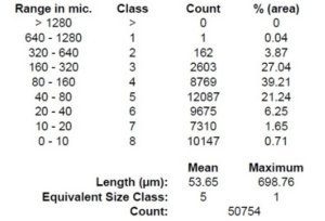 Flake size as per ASTM A247 and ISO 945 - Clemex