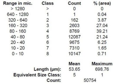 Flake size as per ASTM A247 and ISO 945 - Clemex