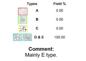Flake size as per ASTM A247 and ISO 945 - Clemex
