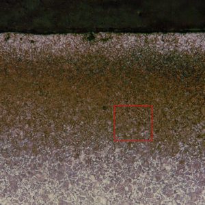 Depth of Decarburization of Steel - Clemex