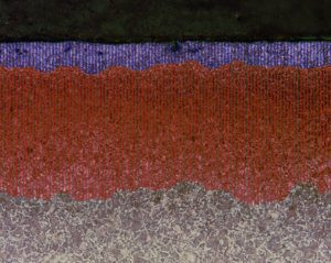 Depth of Decarburization of Steel - Clemex