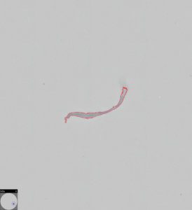 Cleanliness analysis as per ISO 4406&4407 - Clemex