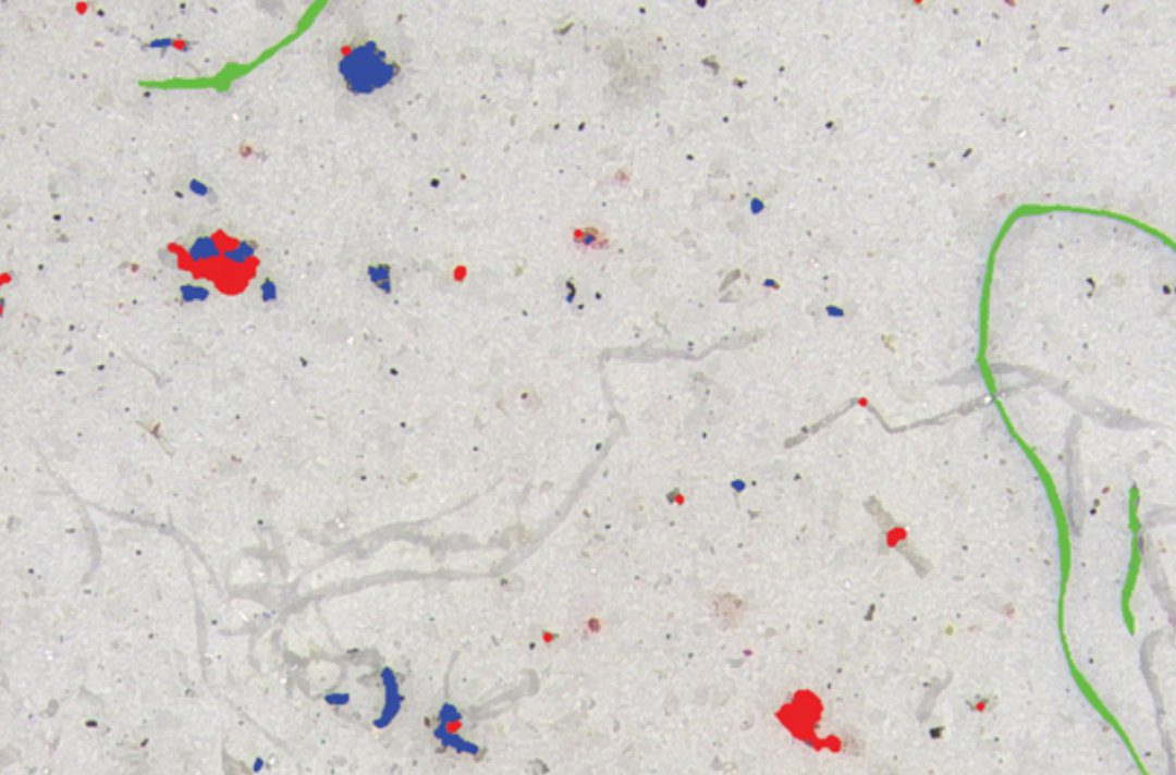 Cleanliness Analysis | Particle Contamination