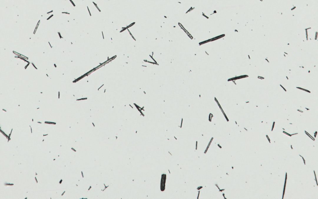 Powder Disperser | Clemex