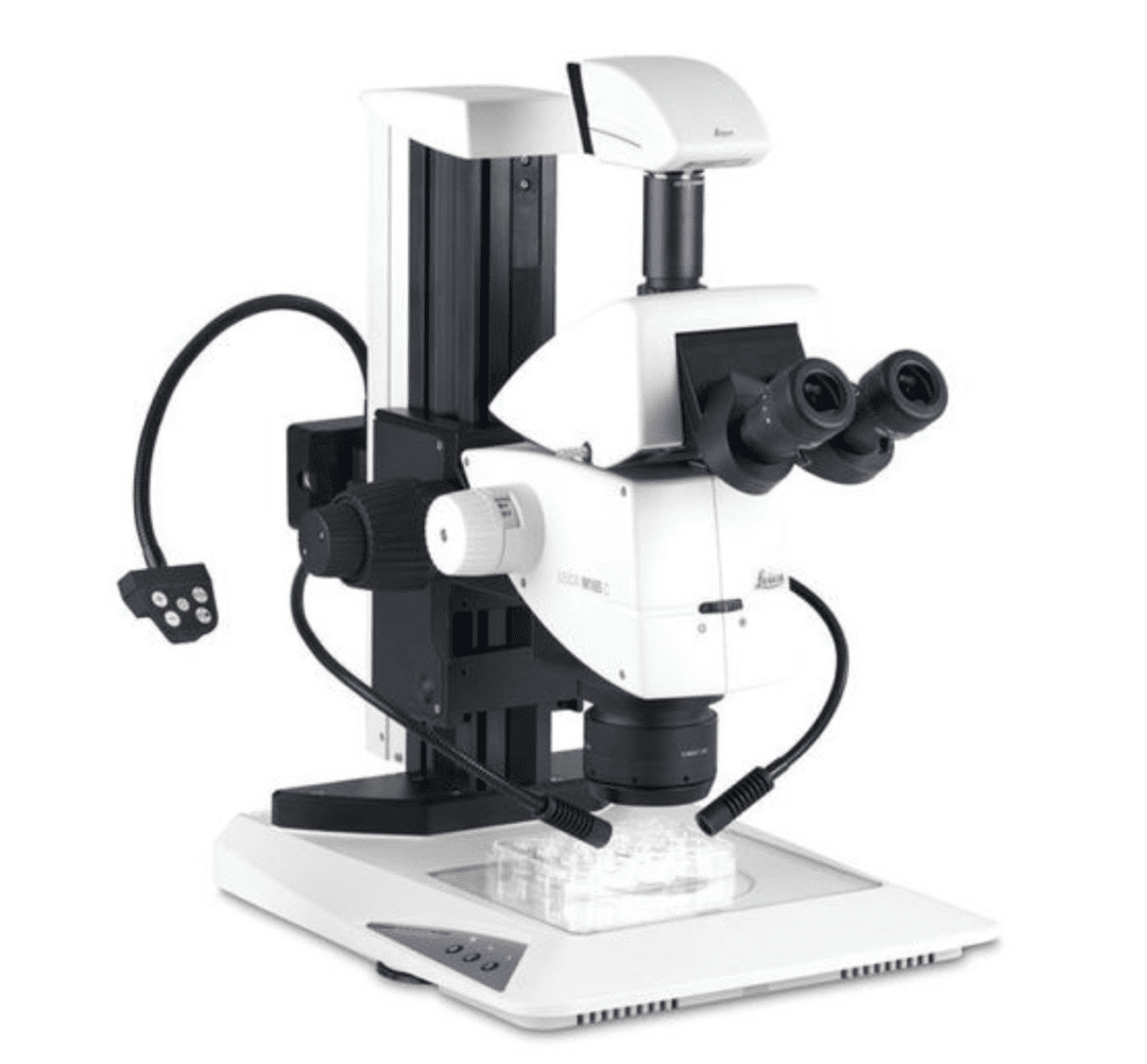 Leica Microscopes | Inverted | Stereo | Distributor