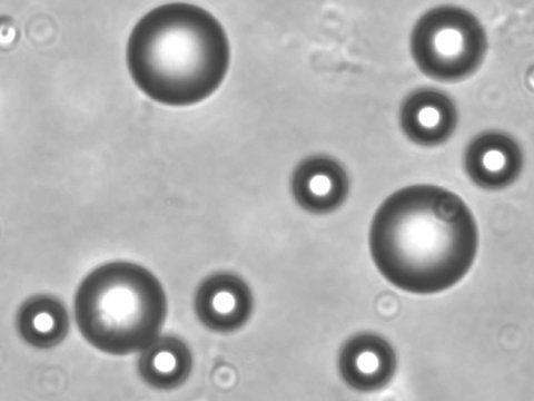 Application Packages - Clemex