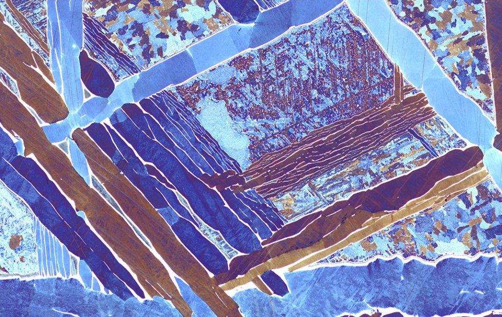 Automated Image Analysis System | Solutions | Microscopy