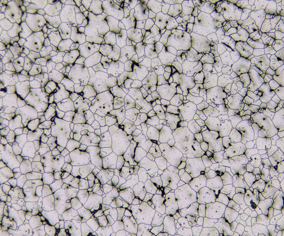 Grain size in austenitic steel - Clemex