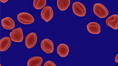 Clemex Studio - Easy Segmentation of phases or particles